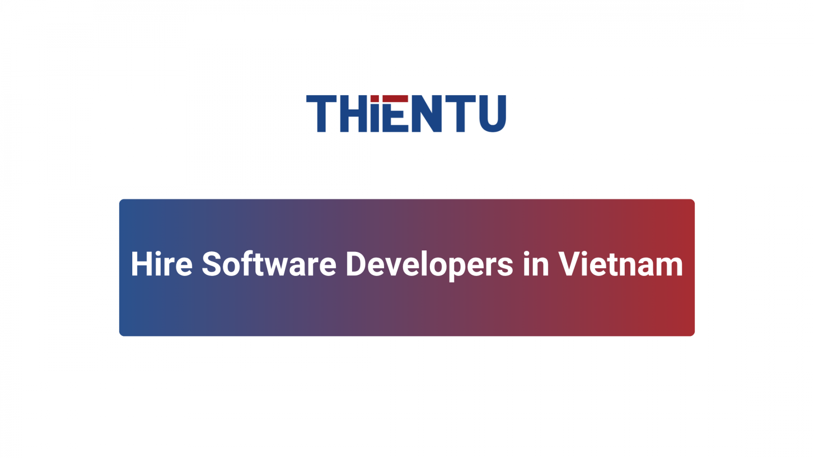Hire Software Developers in Vietnam | Offshore Staffing by THIENTU BPO